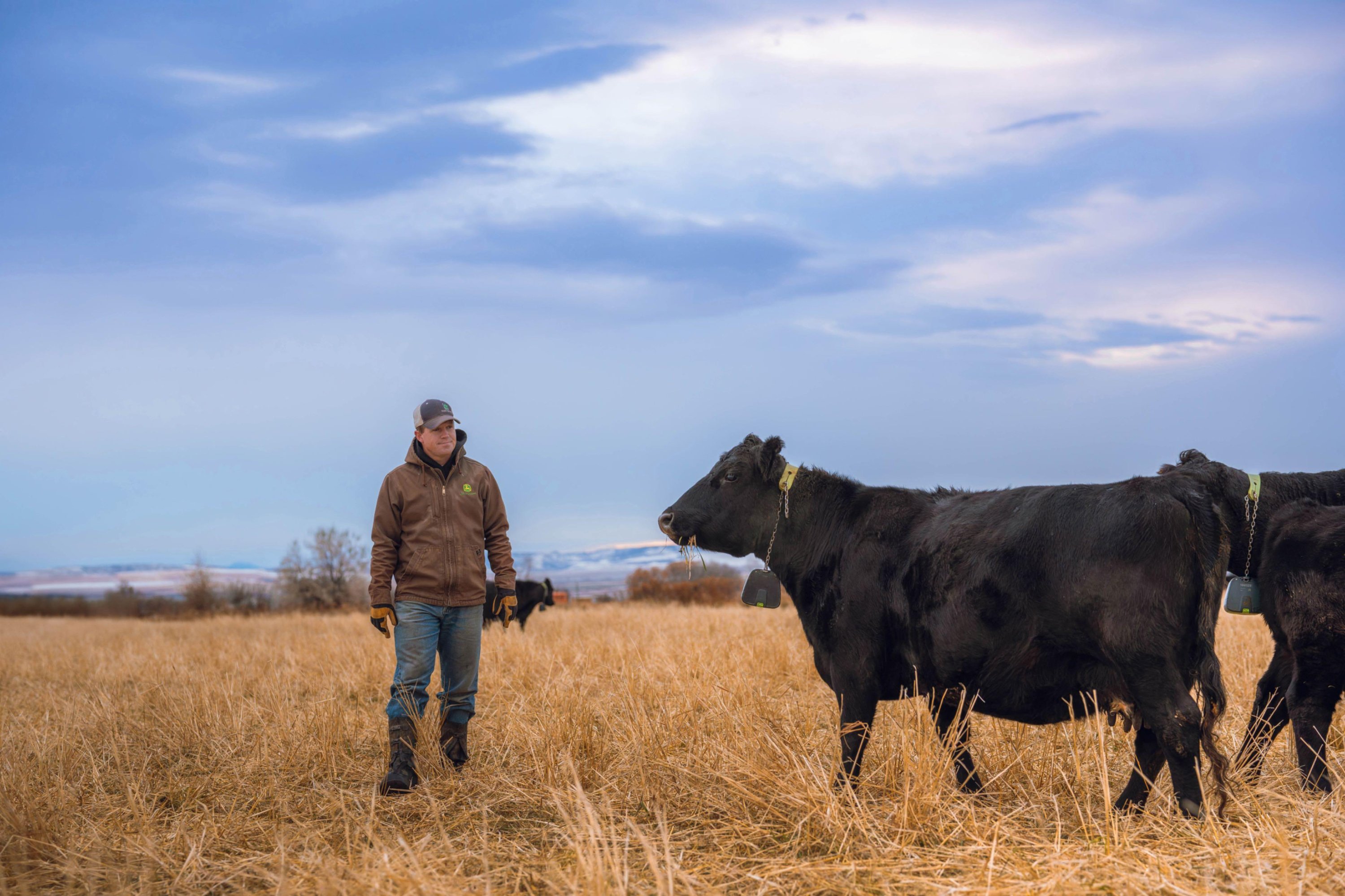 Nofence - The world's first digital fence system