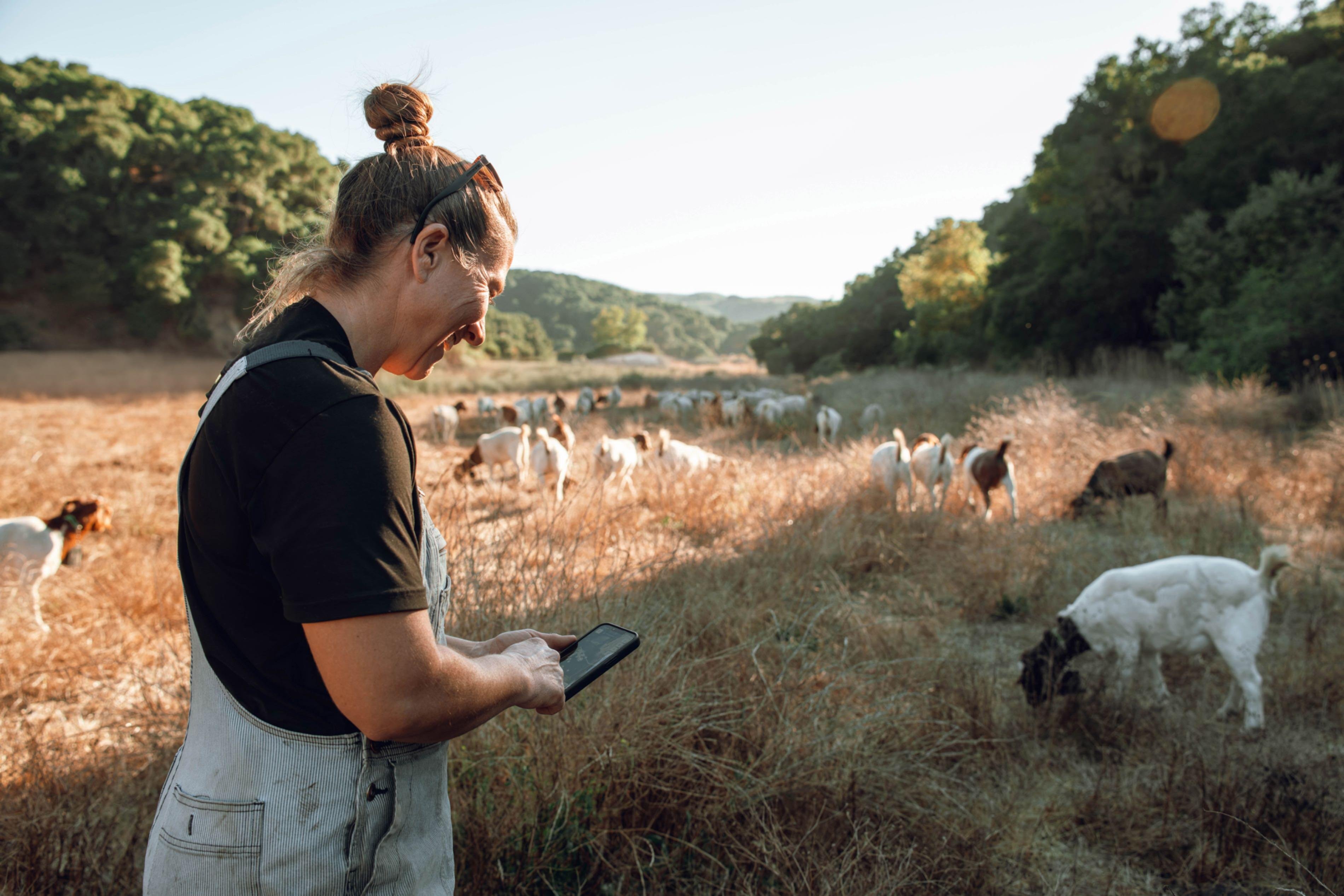 Nofence - The world's first digital fence system
